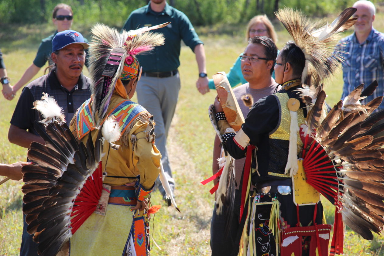 Indigenous Guardians Protect Bison | CPAWS Saskatchewan