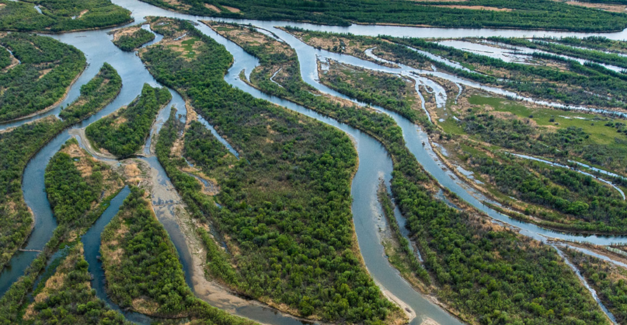 Canadian Parks and Wilderness Society celebrates declaration of ...